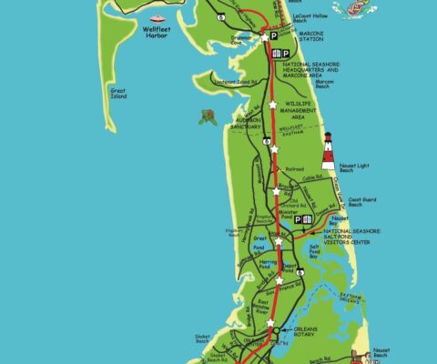 Cycling Cape Cod | Idle Times Bike Shop